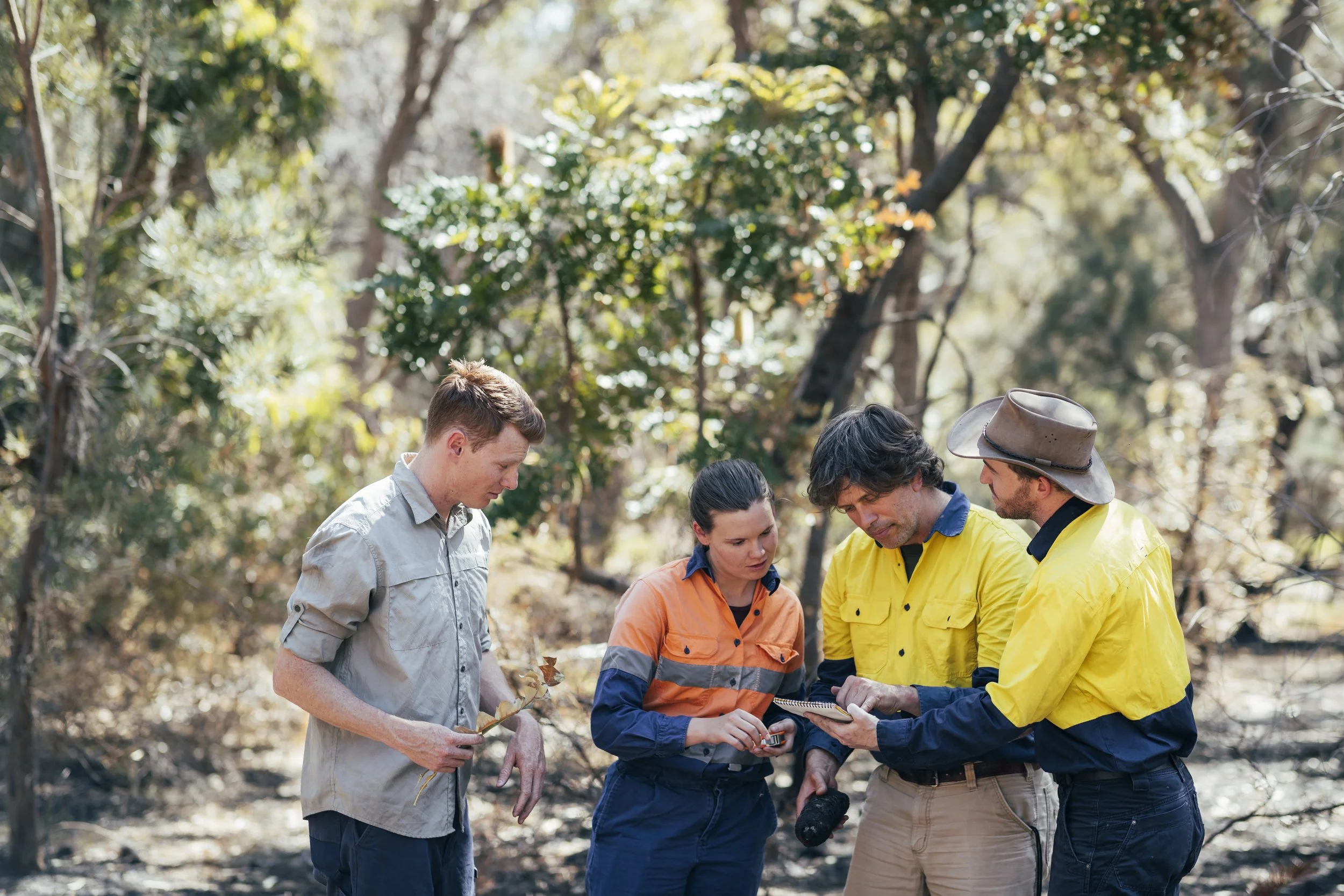 Project — Capricornia Pumped Hydro