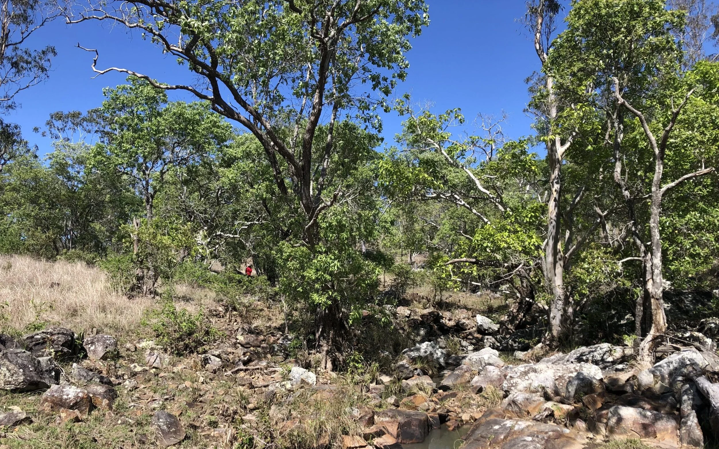 Project — Capricornia Pumped Hydro