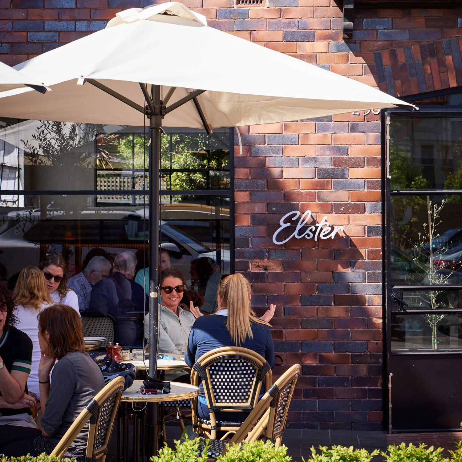Elster Elsternwick