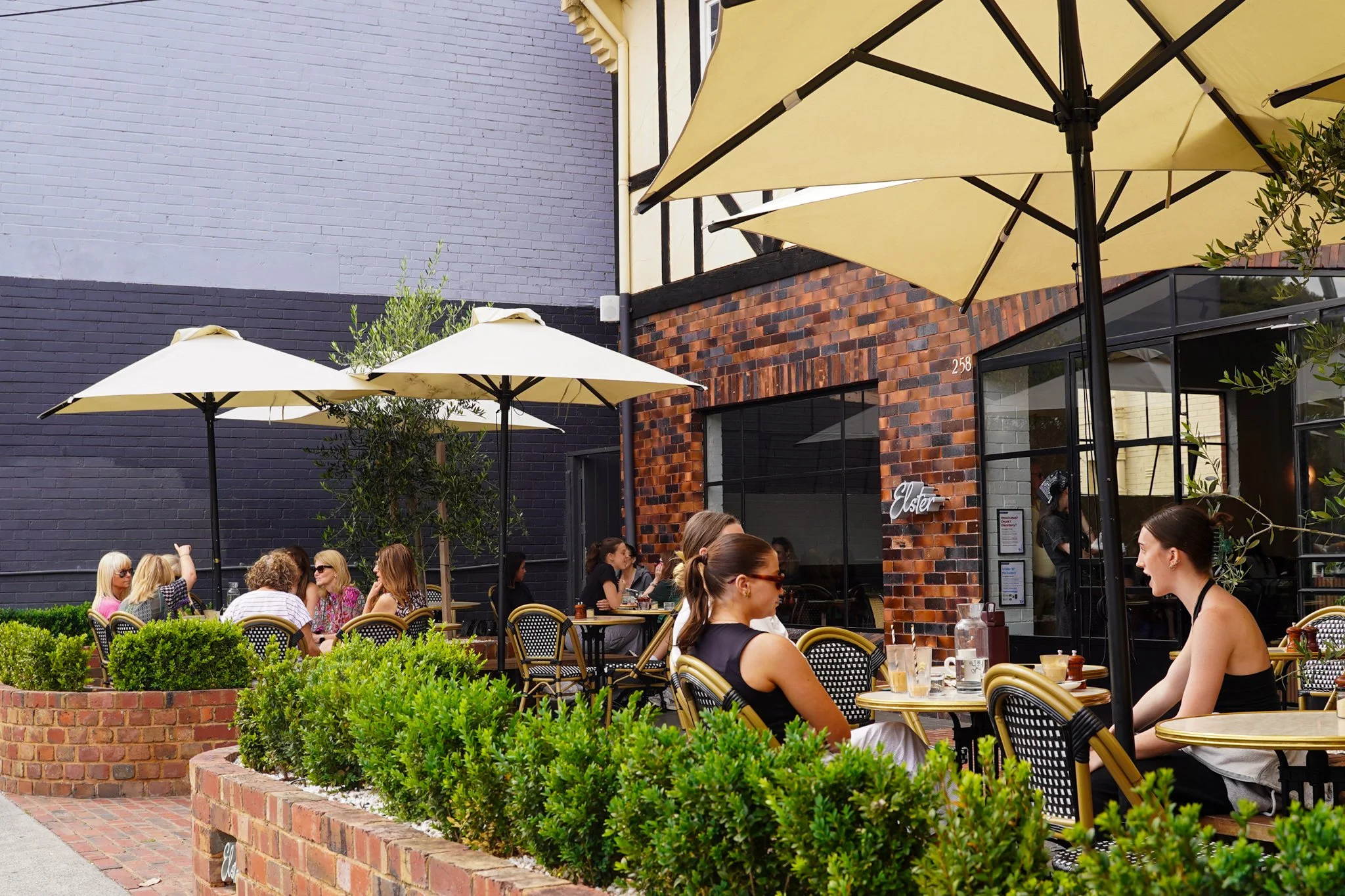 Elster Elsternwick