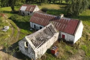 THE IRISH HOMESTEAD