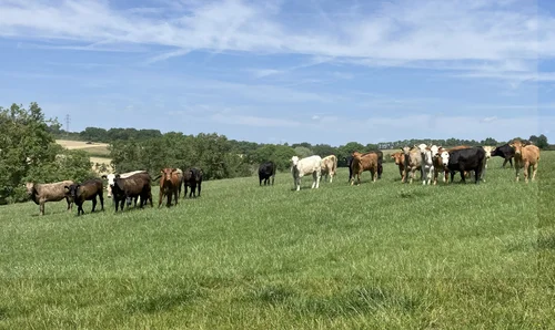 The Microns Have Landed — Micron Design Precision Engineering