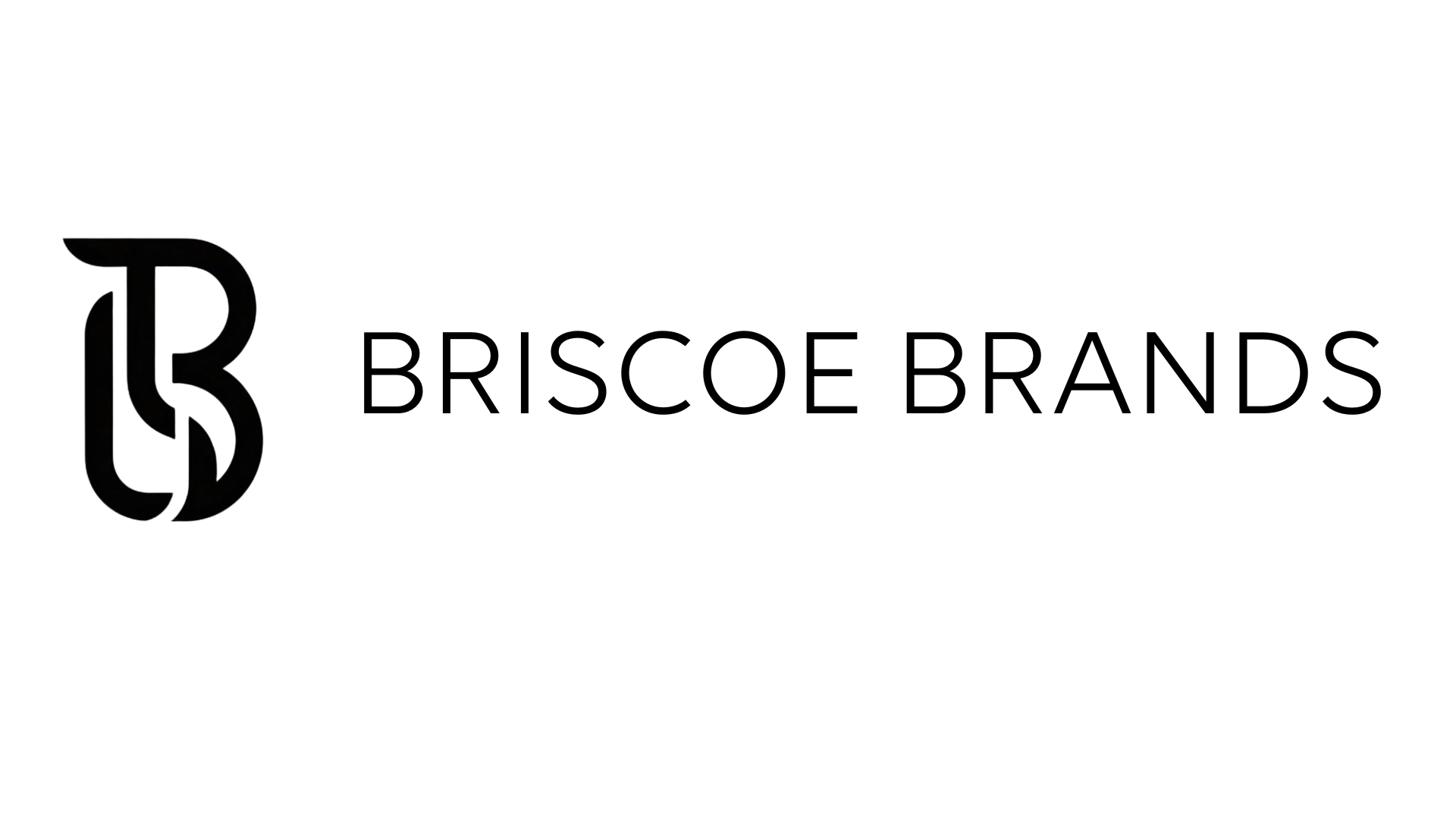 Services | Unleash Your Brand’s Potential — Briscoe Brands