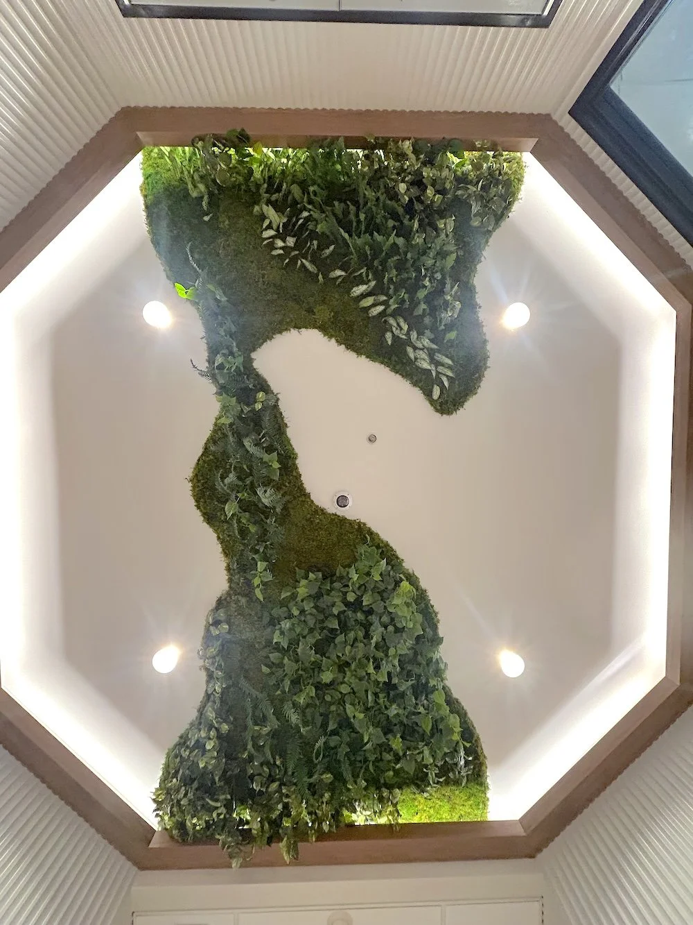 What Is a Moss Wall? Benefits, Design Ideas & Maintenance | Naturspire ...