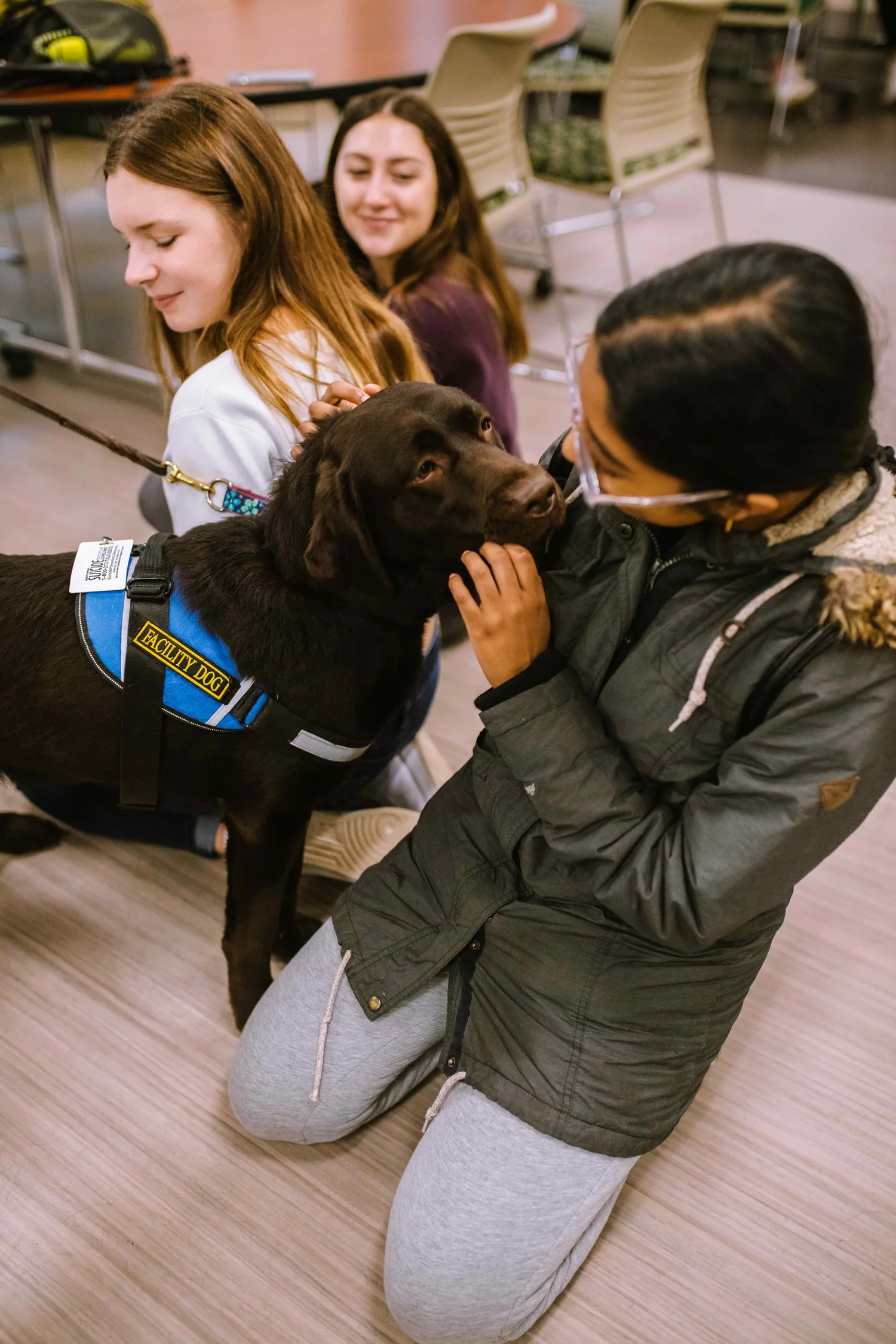 Michigan Service & Facility Dogs | Canines for Change