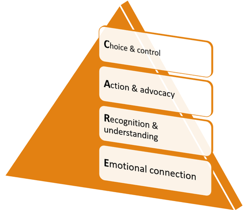 Care Model — Safer Families Centre