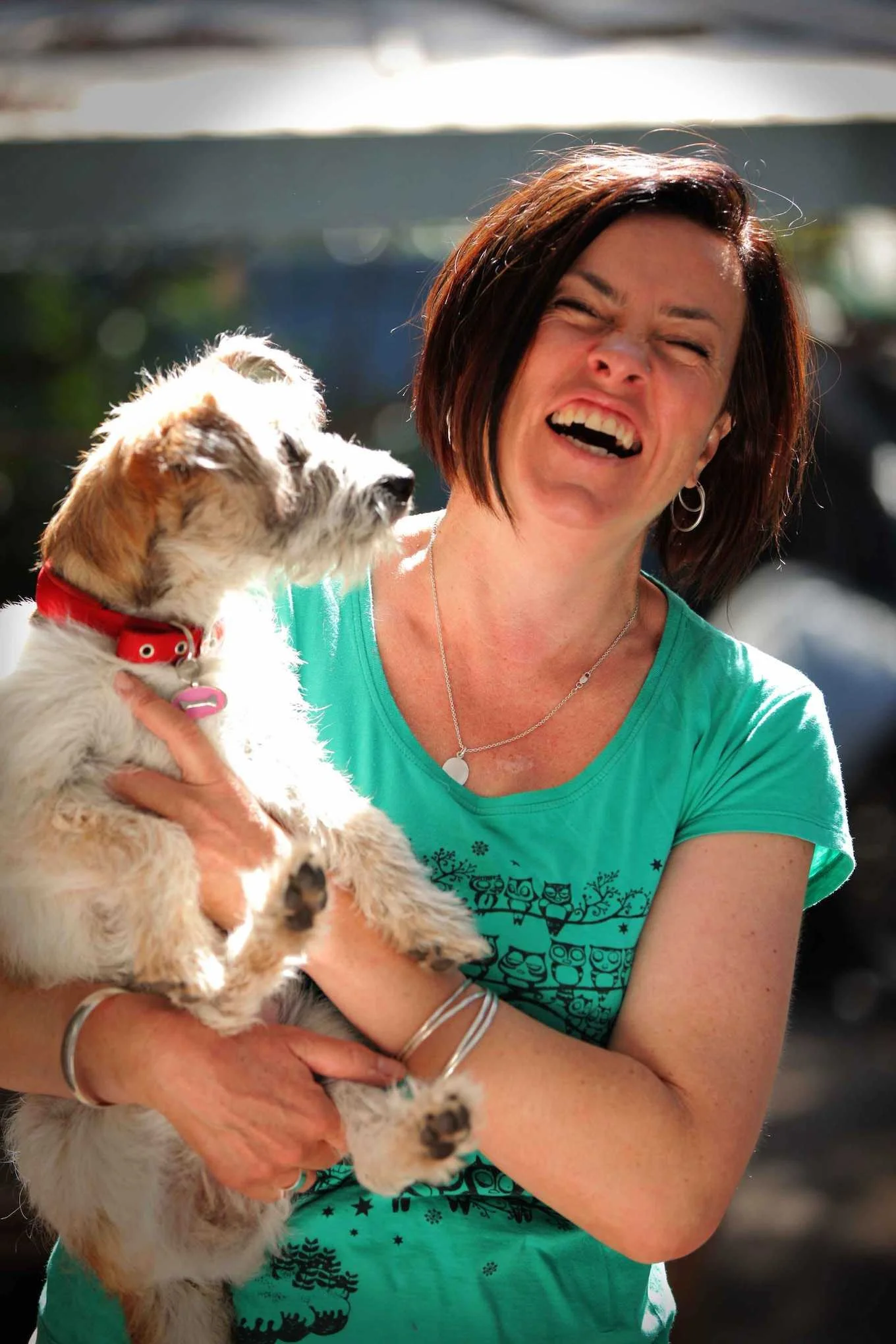 Delta Institute qualified dog trainer, Balmain and Inner West of Sydney ...
