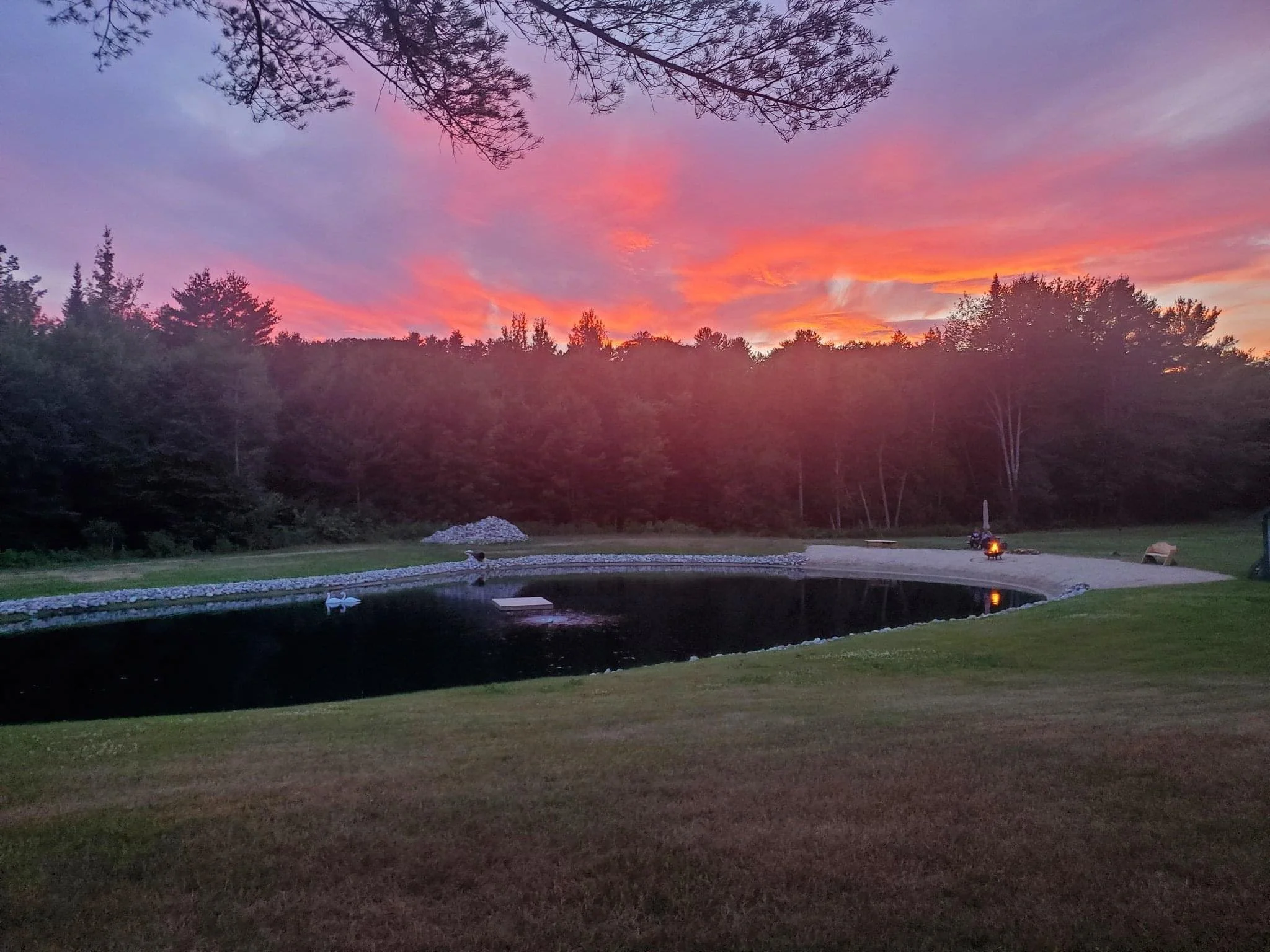 Maple Lane Weddings and Celebrations