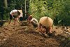 The Kul Kul Farm | Discover, Create, Escape – Join Us