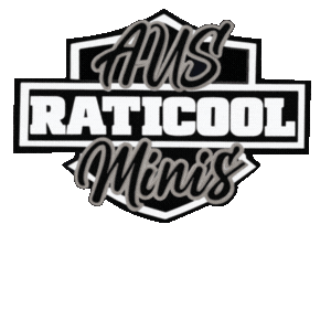 Raticool Minis — Custom Mini Bikes · Gold Coast AUS