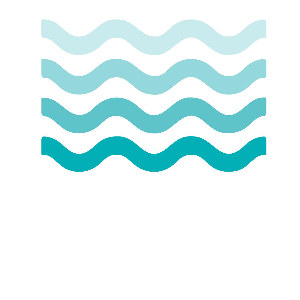 Conservation Strategy Group