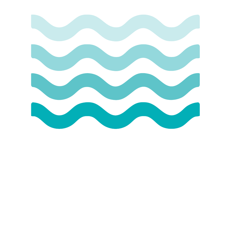 Conservation Strategy Group