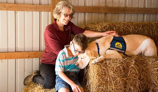 What is a Facility Dog? — Lions Project for Canine Companions