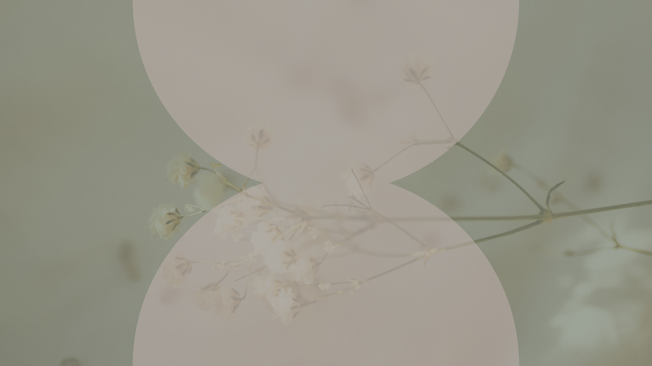Sarah Domier VA - SDVA | Virtual Assistant | Operational Support for ...