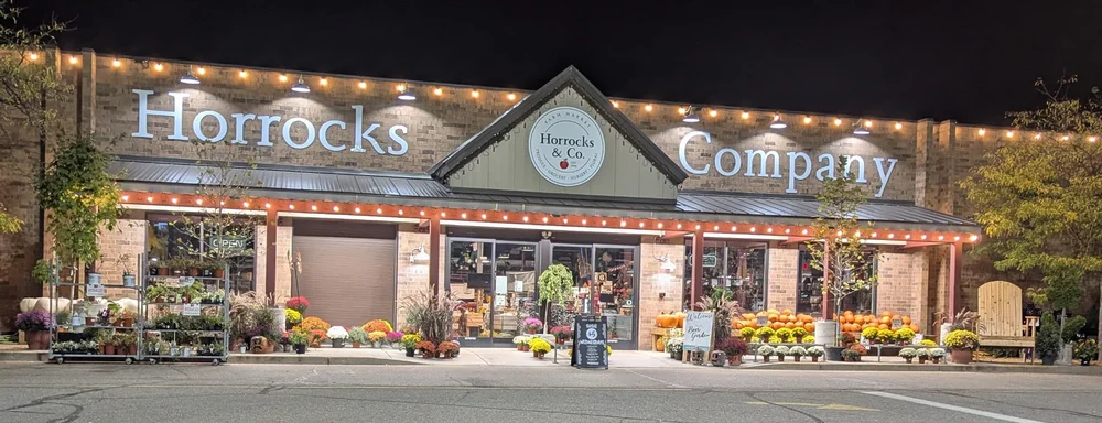 Horrocks & Co.