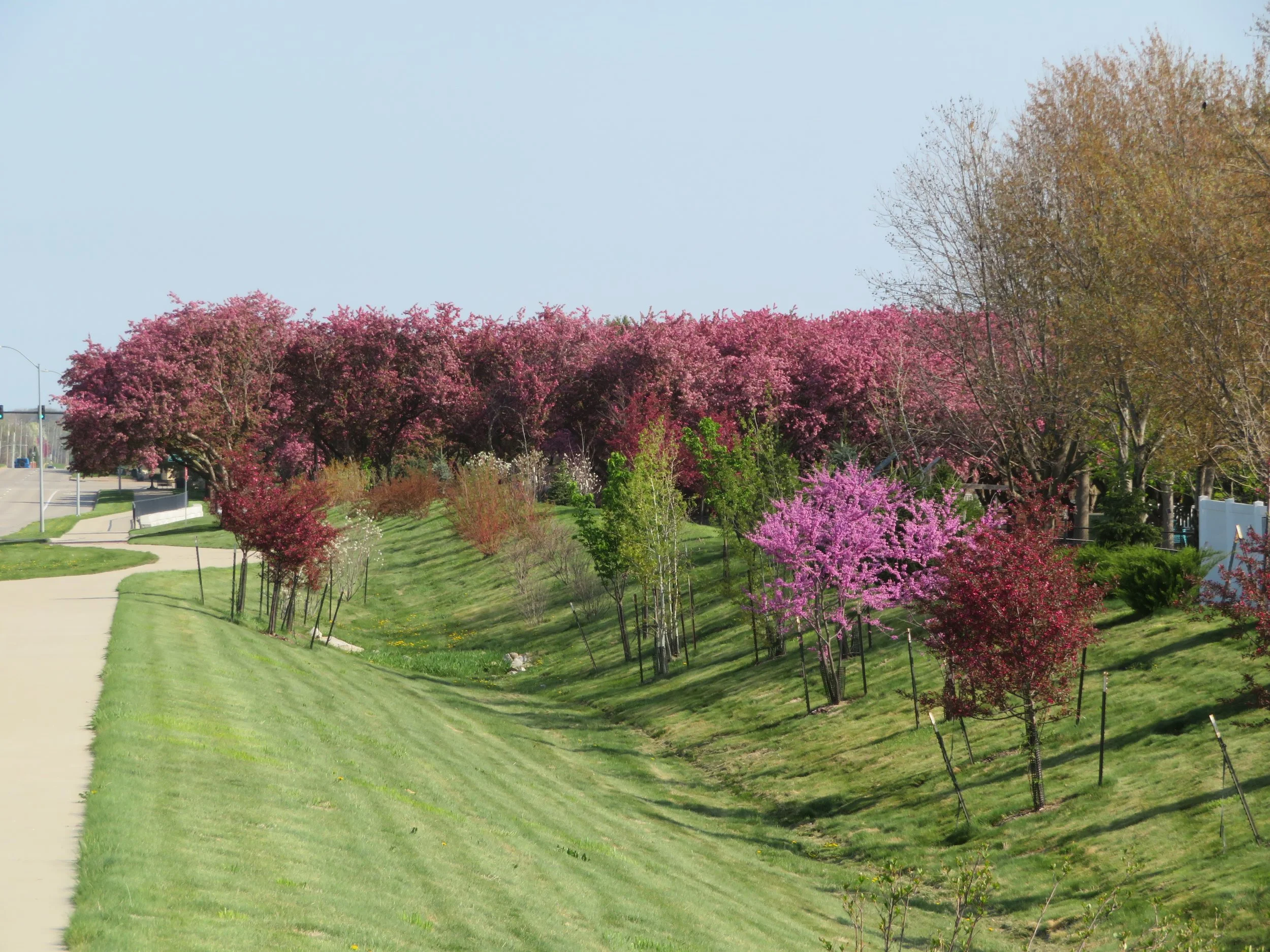 Green Meadows West