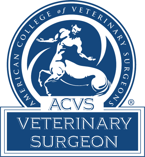 About | Expert Veterinary Surgery — Veterinary Surgery of Vermont