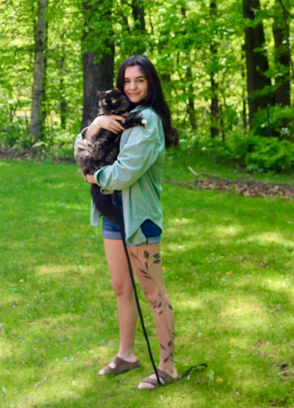 Meet the team at VSV — Veterinary Surgery of Vermont