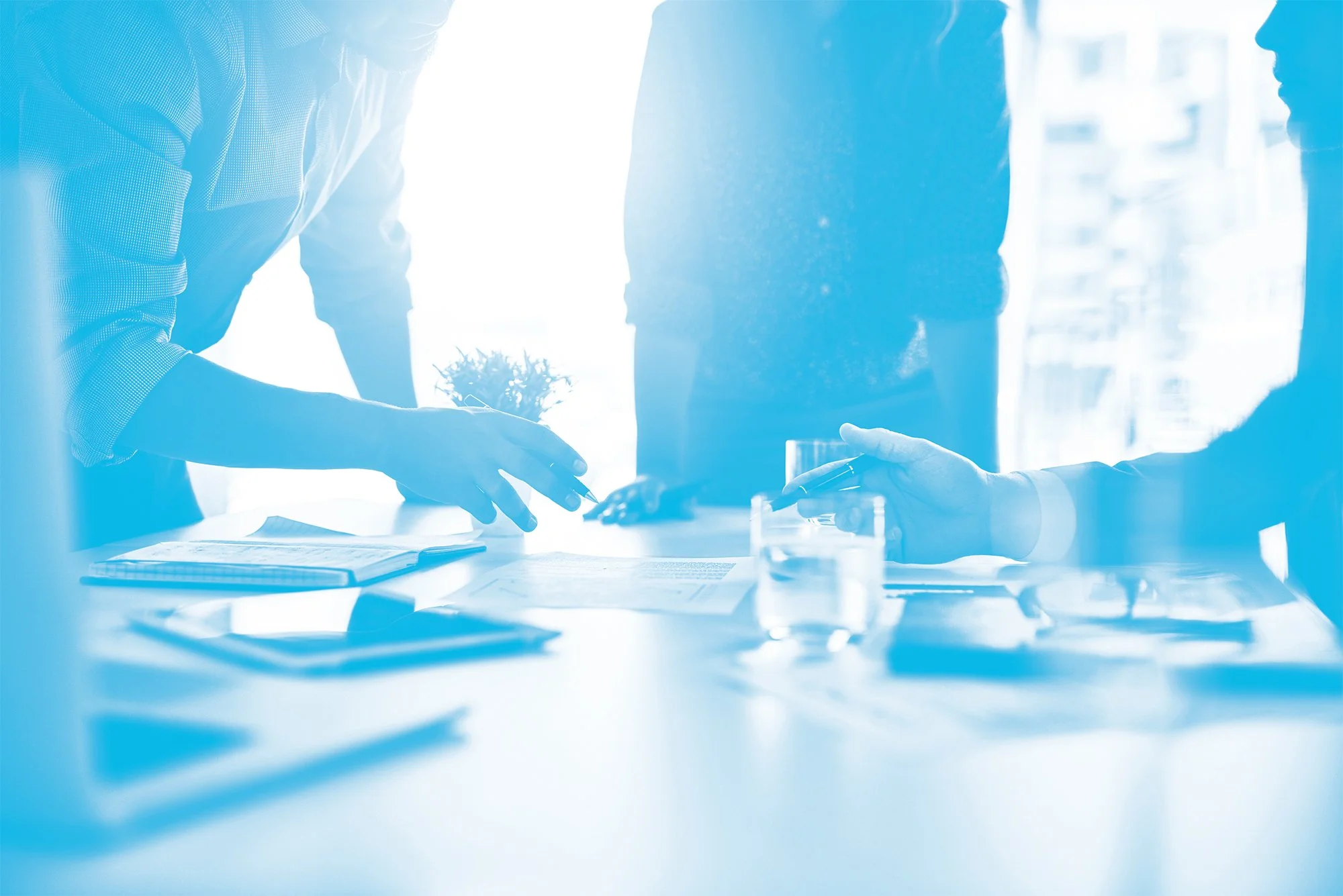TEAM — Otter & Company Capital Holdings