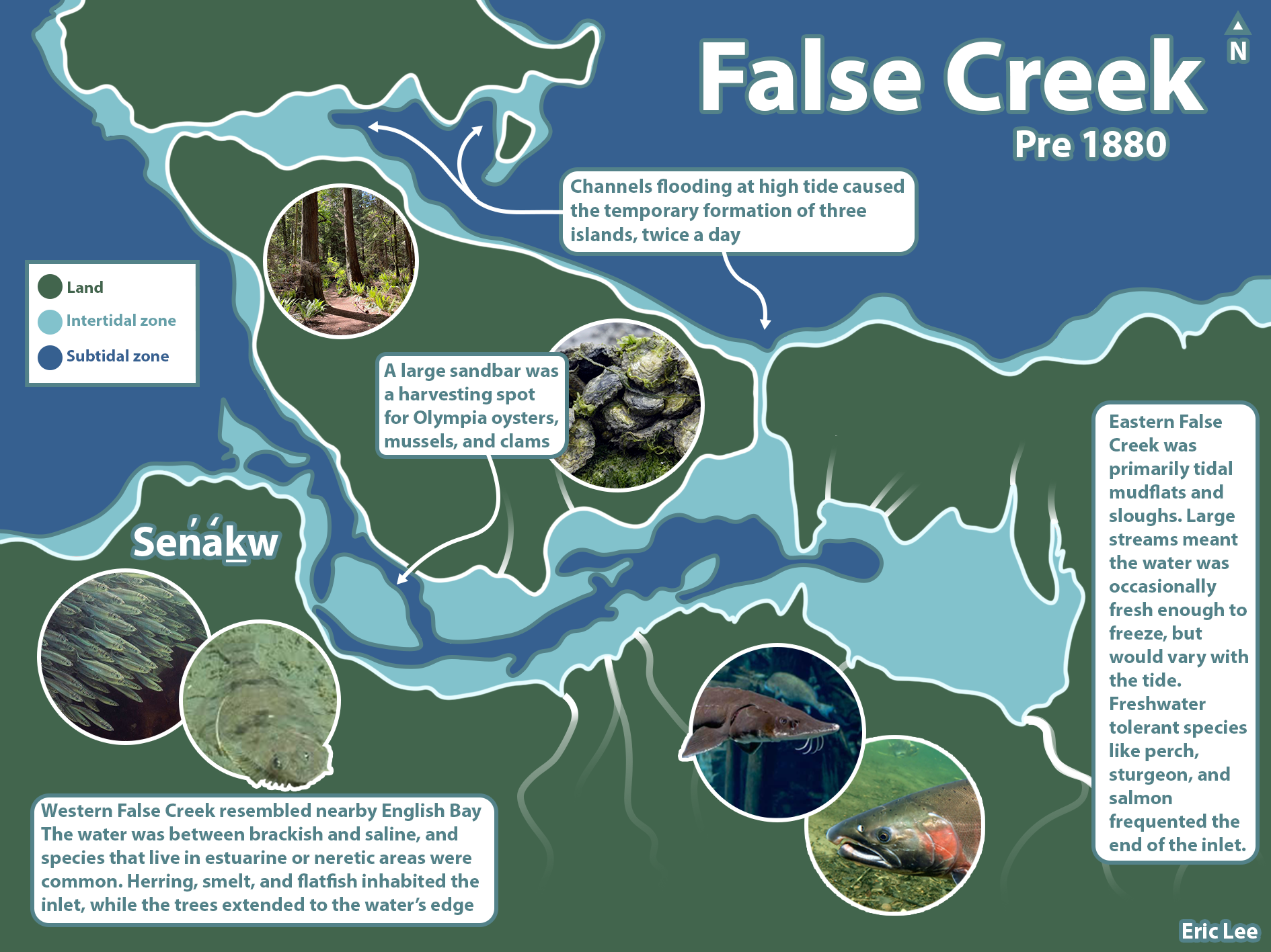 False Creek: Past, Present, Future — False Creek Friends Society
