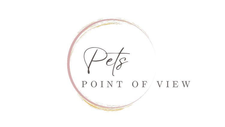 Pet's Point of View