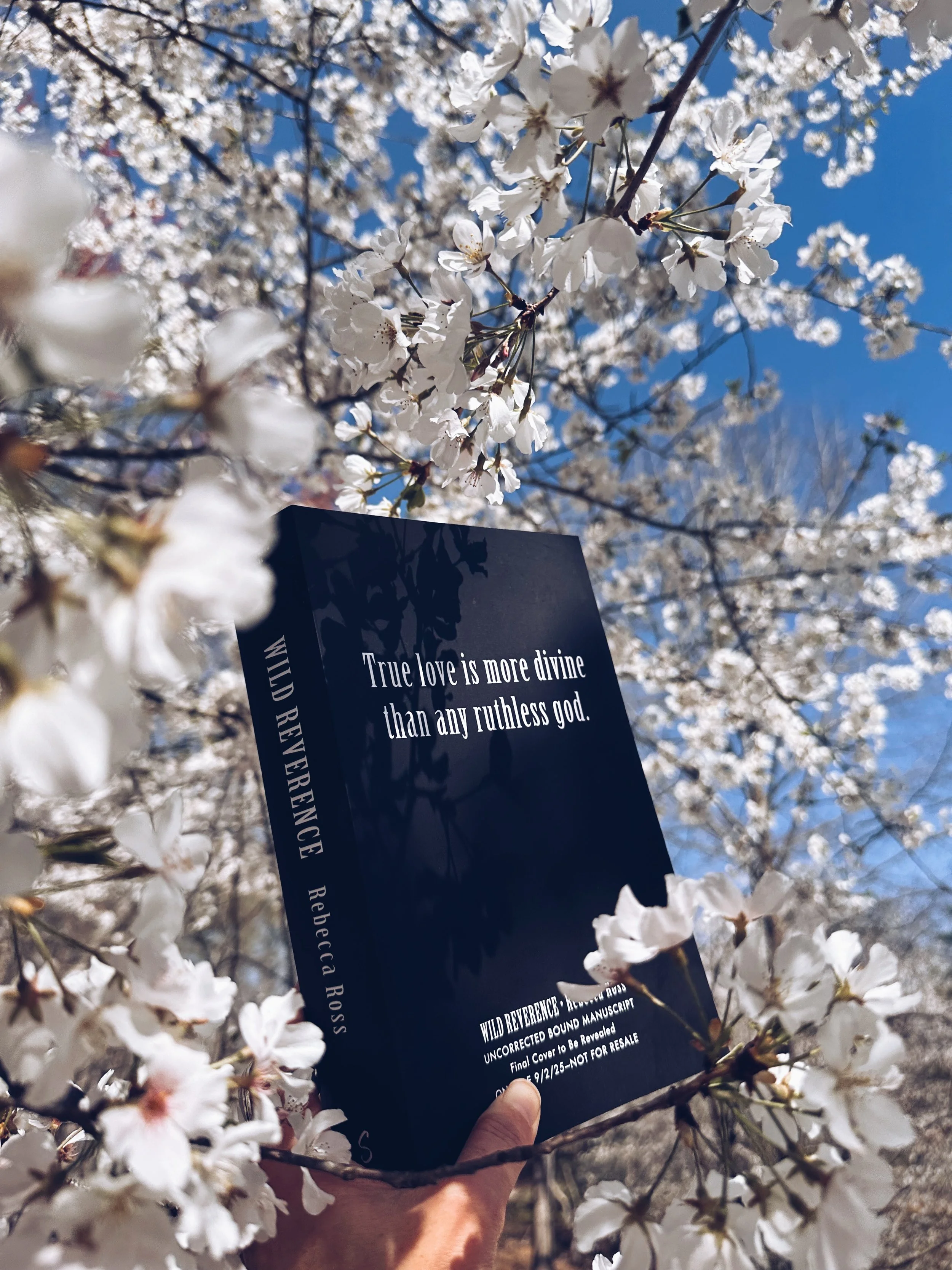 WILD REVERENCE — Rebecca Ross