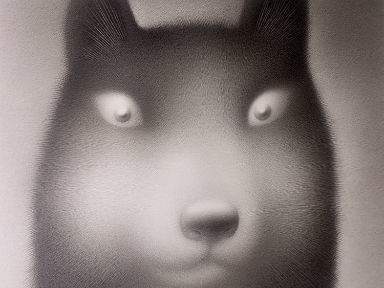 Peter McCarty