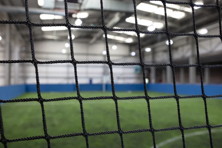 Back of the Net