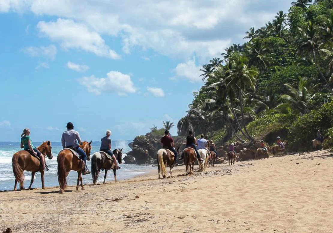 Pintos "R" Us | Experience Rincon Adventures Today