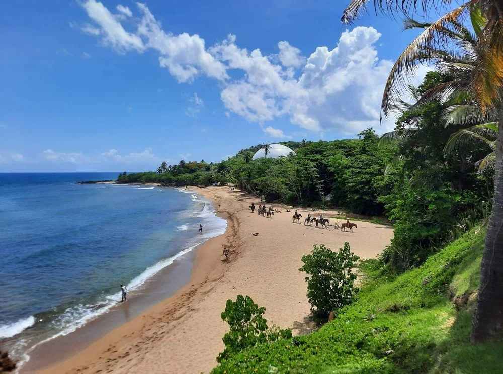 Pintos "R" Us | Experience Rincon Adventures Today