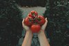 Farm to Fork Dinner Series at Eden Hall | Discover Fresh Local Dining