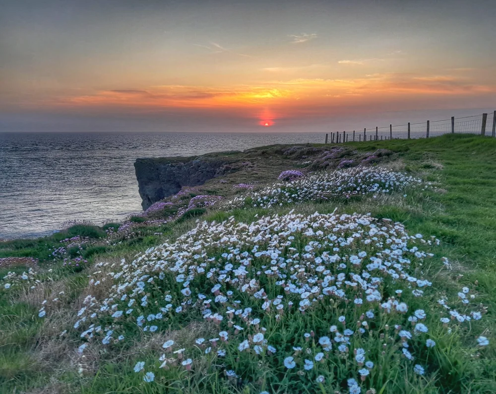 Photo Gallery | Explore Porth Iago Campsite Now — Porth Iago Campsite