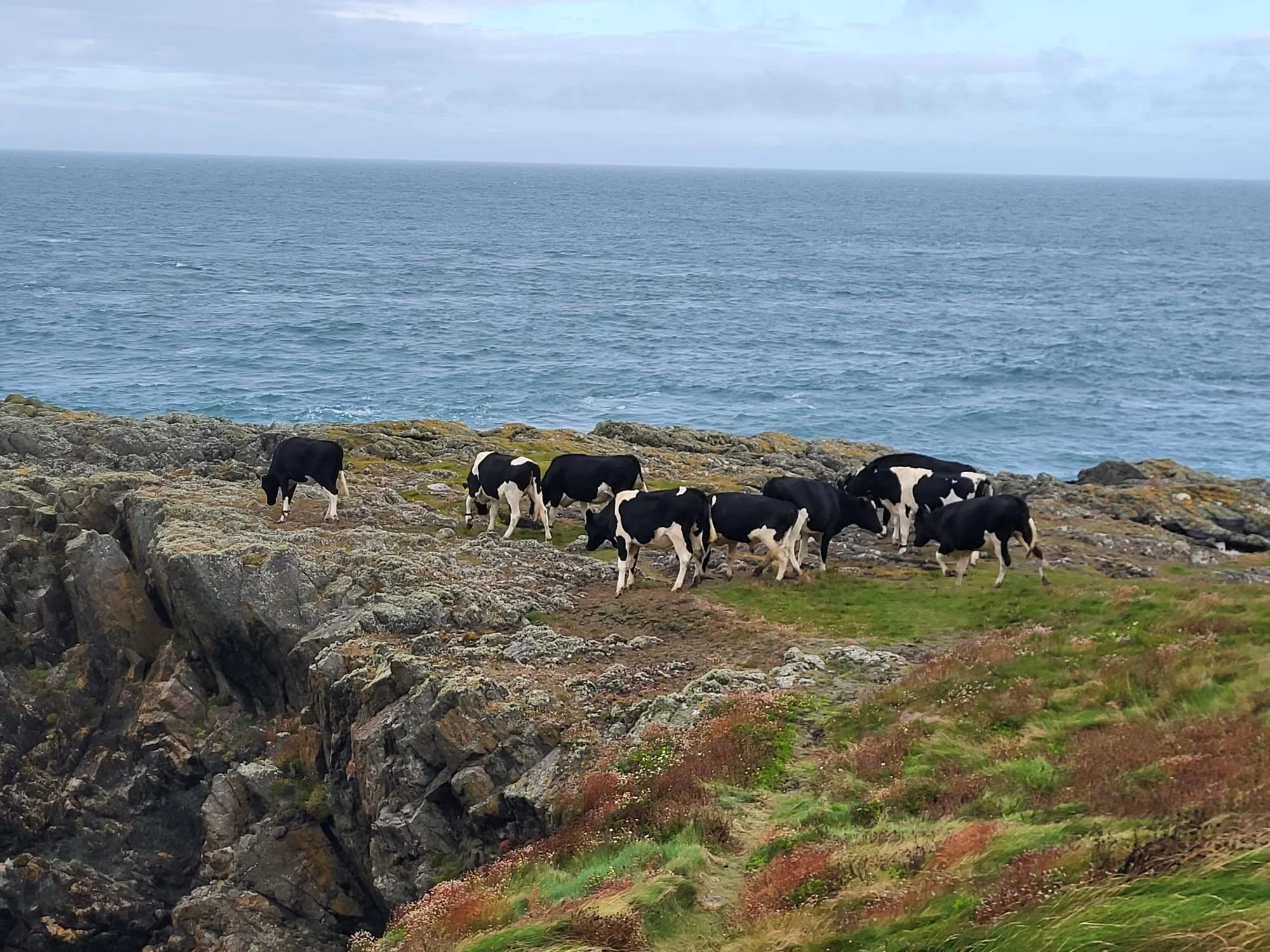 Photo Gallery | Explore Porth Iago Campsite Now — Porth Iago Campsite
