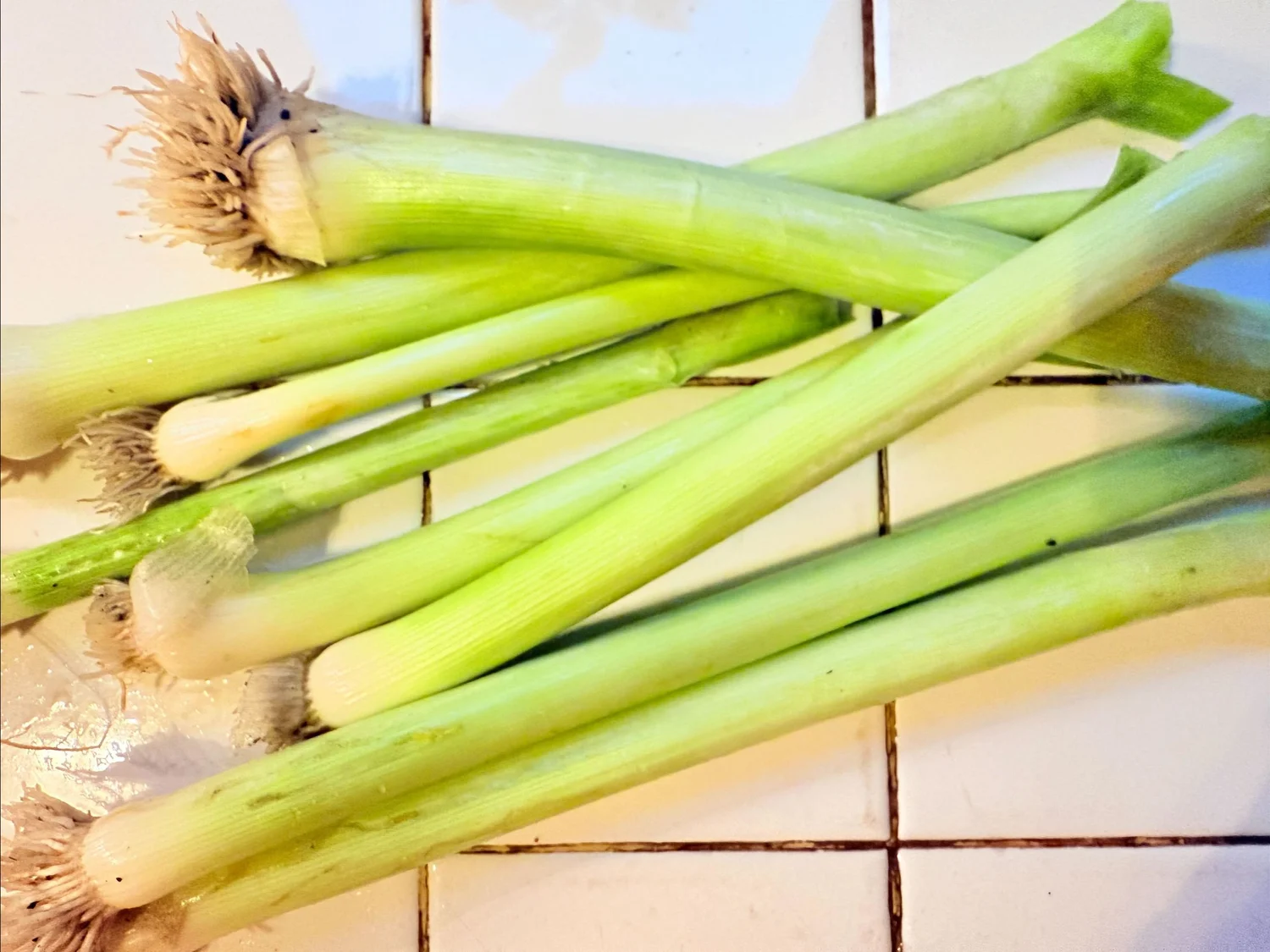 Braised Leeks with Parmesan — Good Food Farmers
