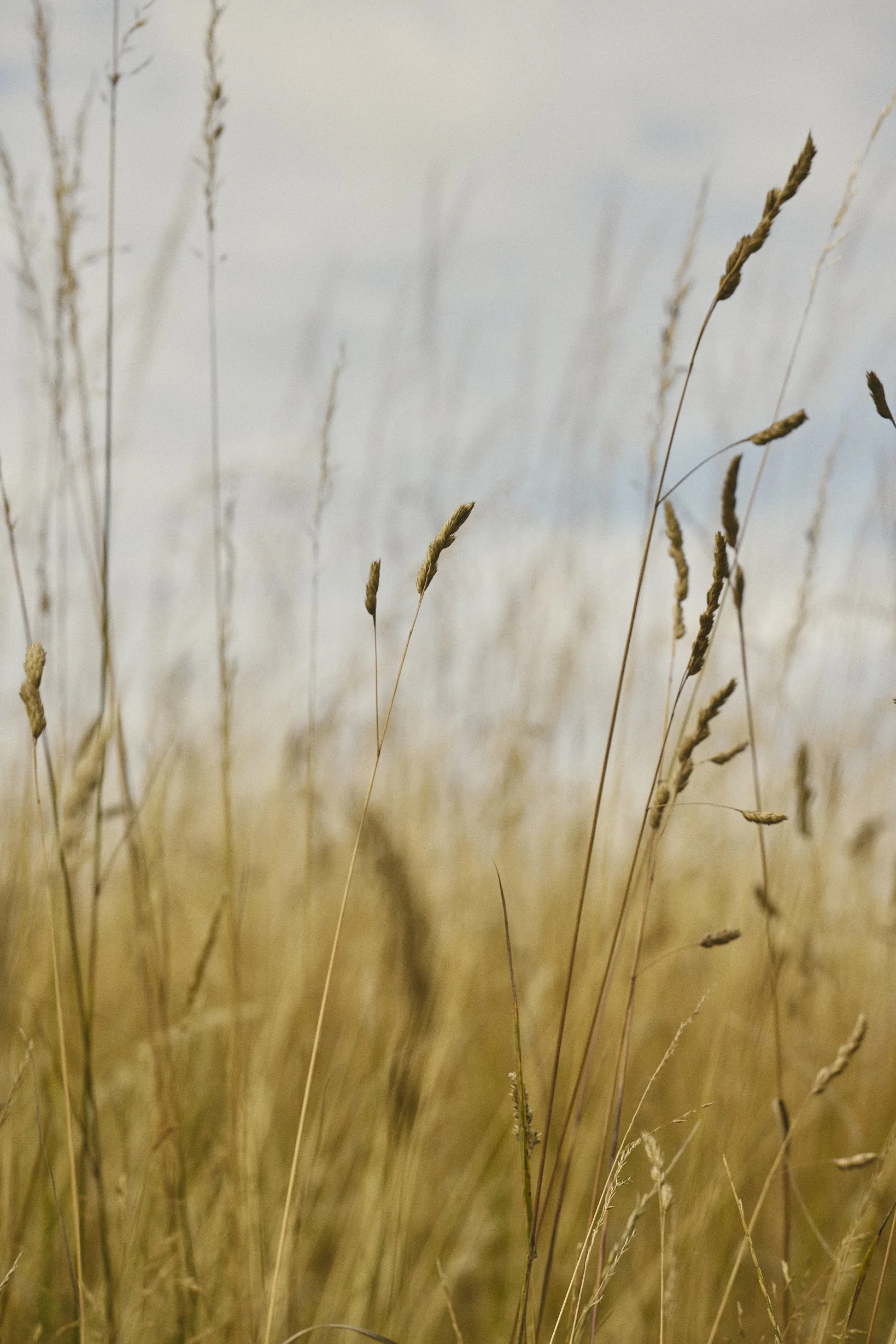 BNG stories from the ground | Biofarm — Biofarm