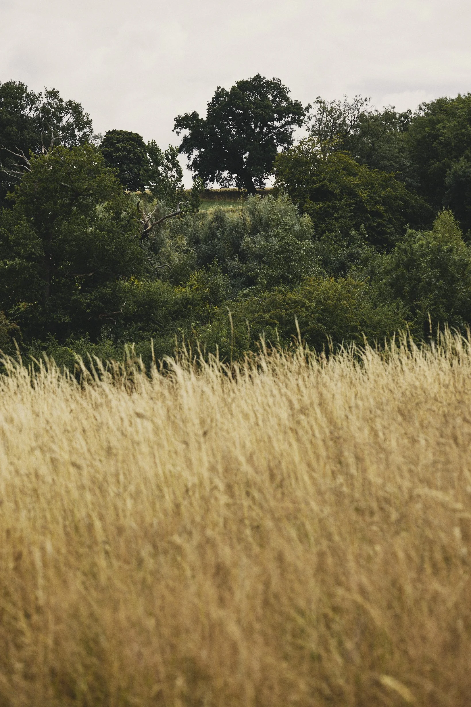 Biofarm – Biodiversity Net Gain | Biofarm