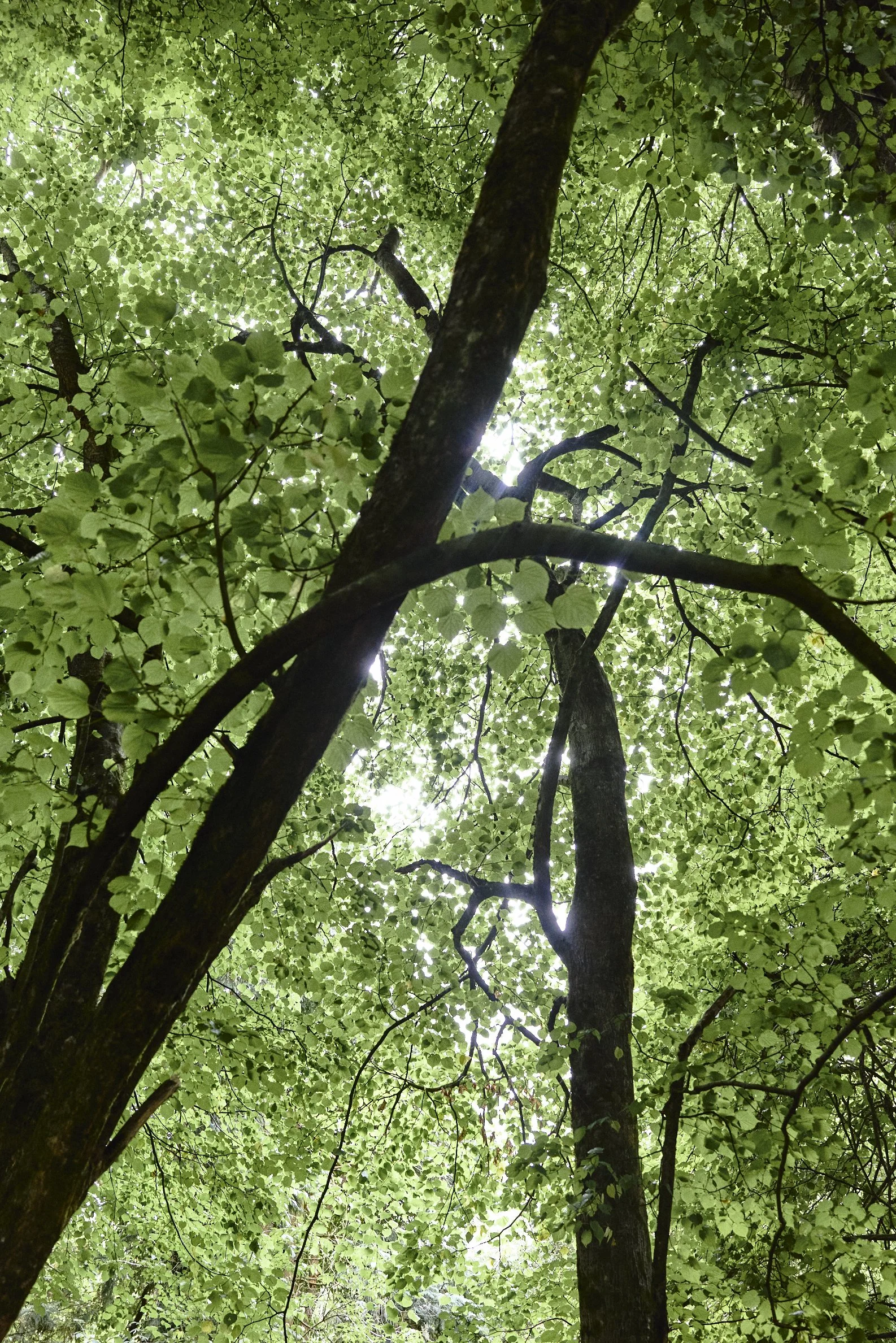 Biofarm – Biodiversity Net Gain | Biofarm
