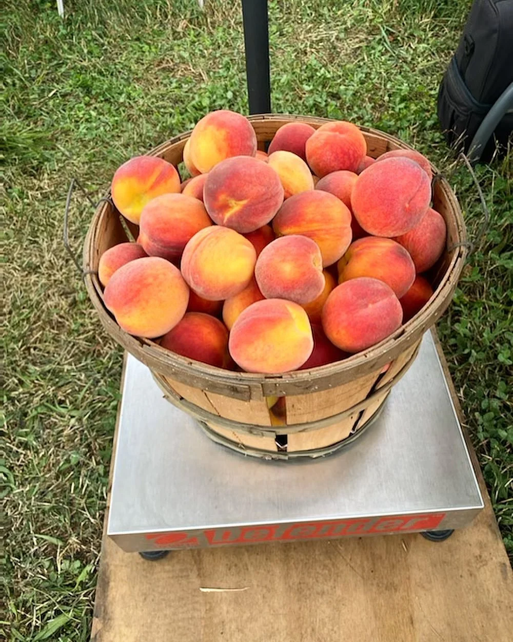 Peaches — Fix Brothers Fruit Farm