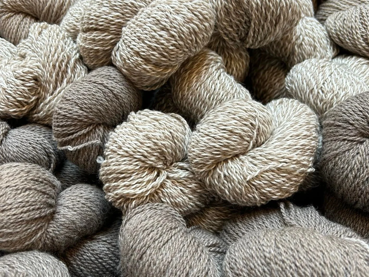 Harvey Sheep & Wool | Lamb | Blankets | Felted Soaps | Calpine, CA