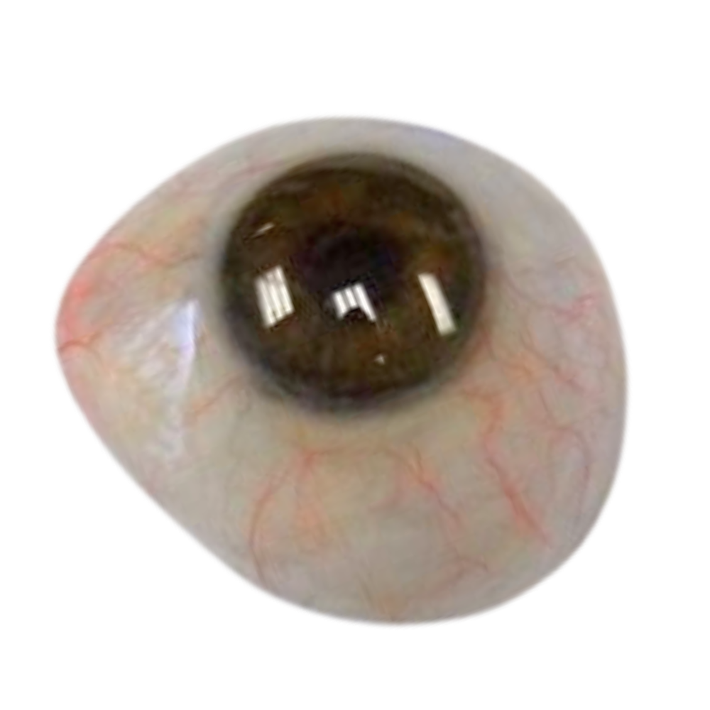 Ocular Prosthesis | From Fun to Realistic Artificial Eyes — Maloney's ...