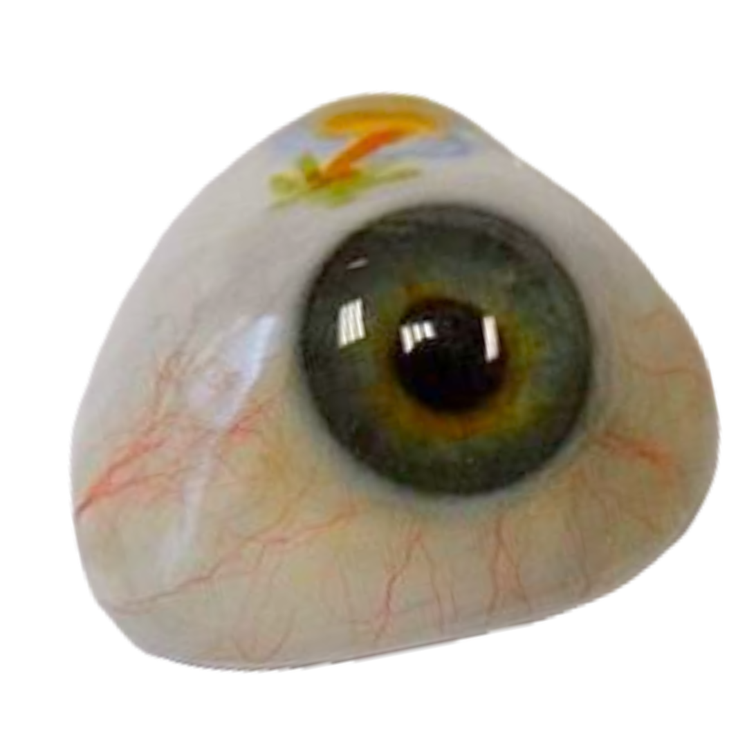 Ocular Prosthesis | From Fun to Realistic Artificial Eyes — Maloney's ...