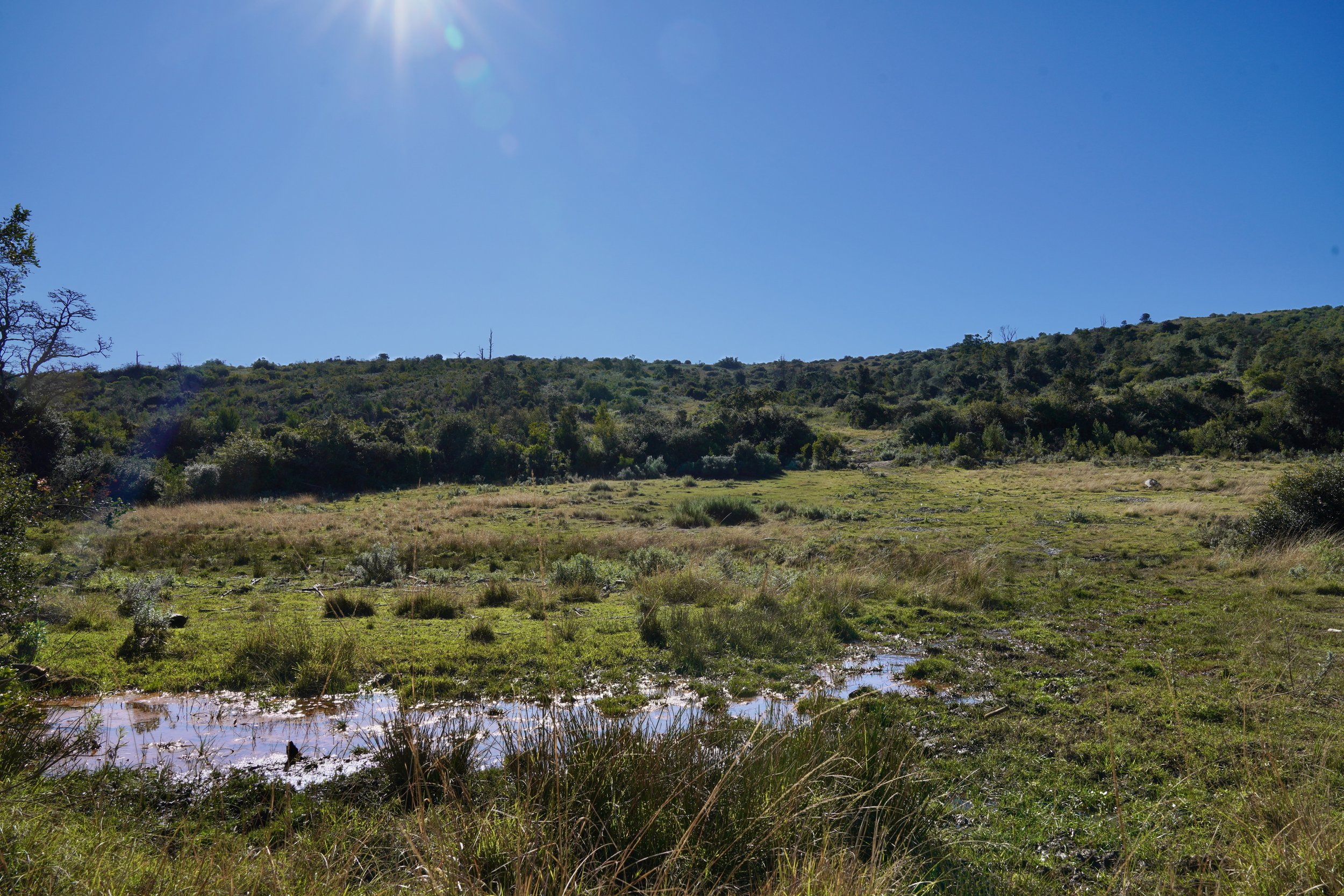 Our solutions — Stewards of Nature