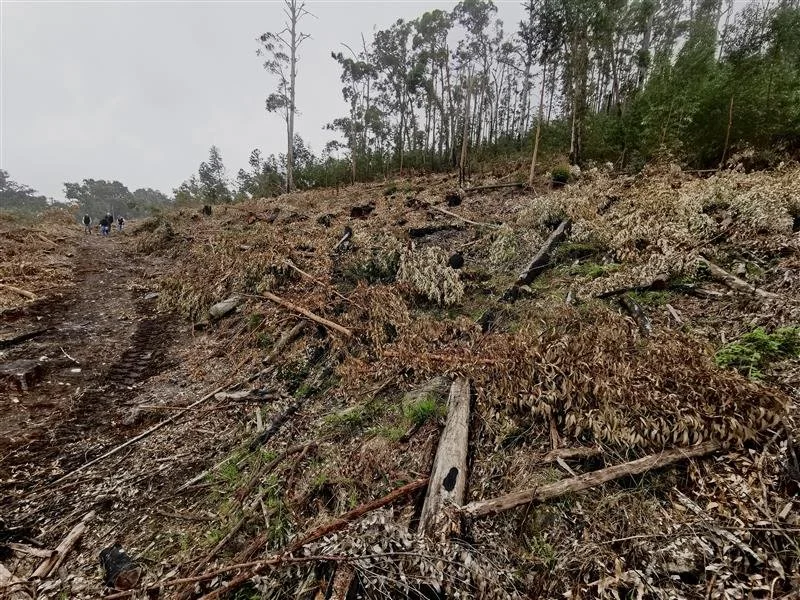 Stewards of Nature | Ecosystem restoration