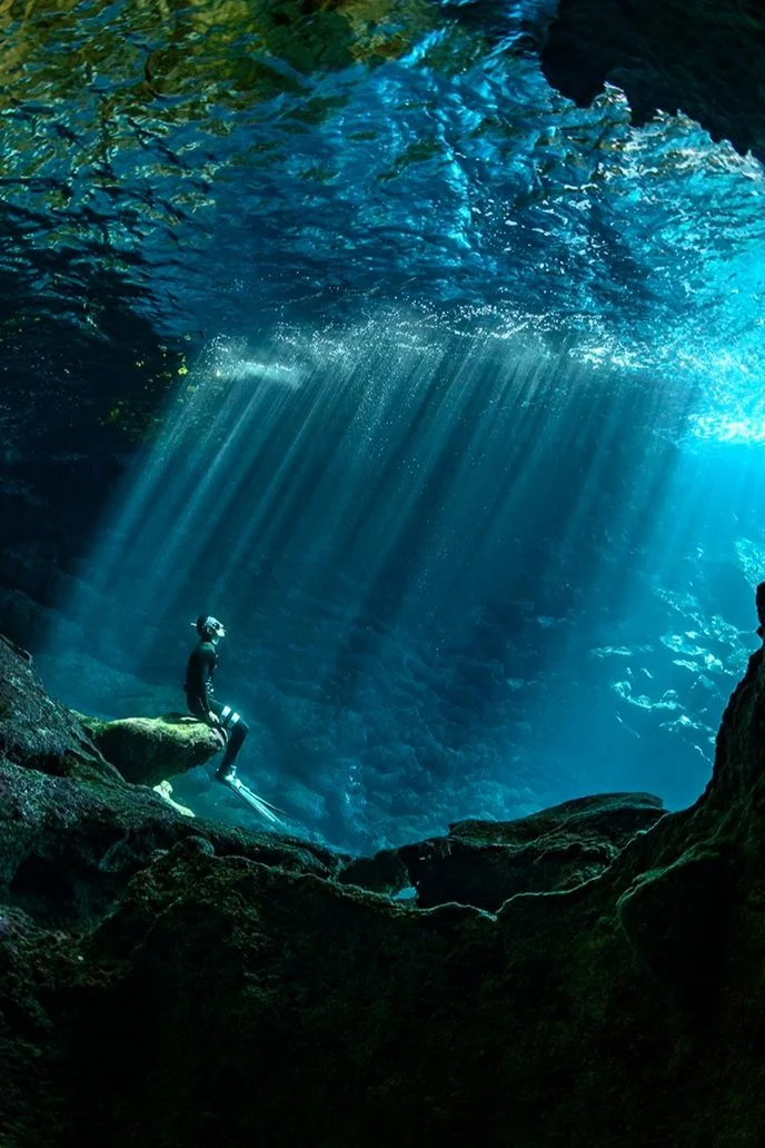 Tonga - Bucket List Swim with Whales | Discover & Dive In Today! — The ...