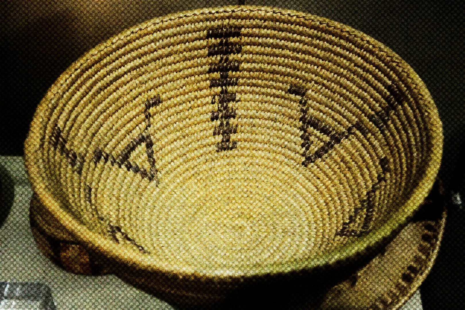 Dr Grace Fiorentino Patient Portal Access