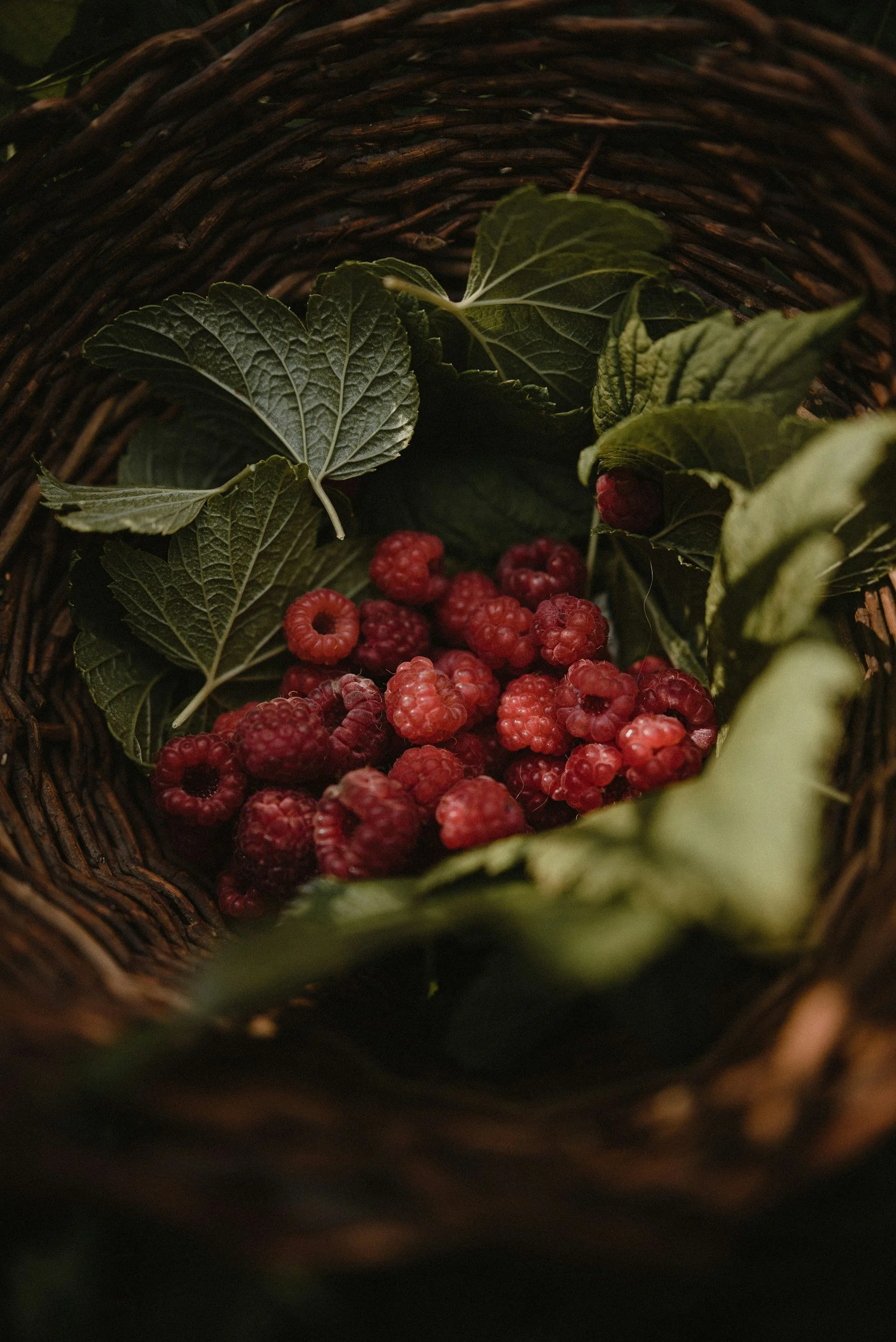 LOCATIONS | Find Your Nearby Store Today — amaranth.