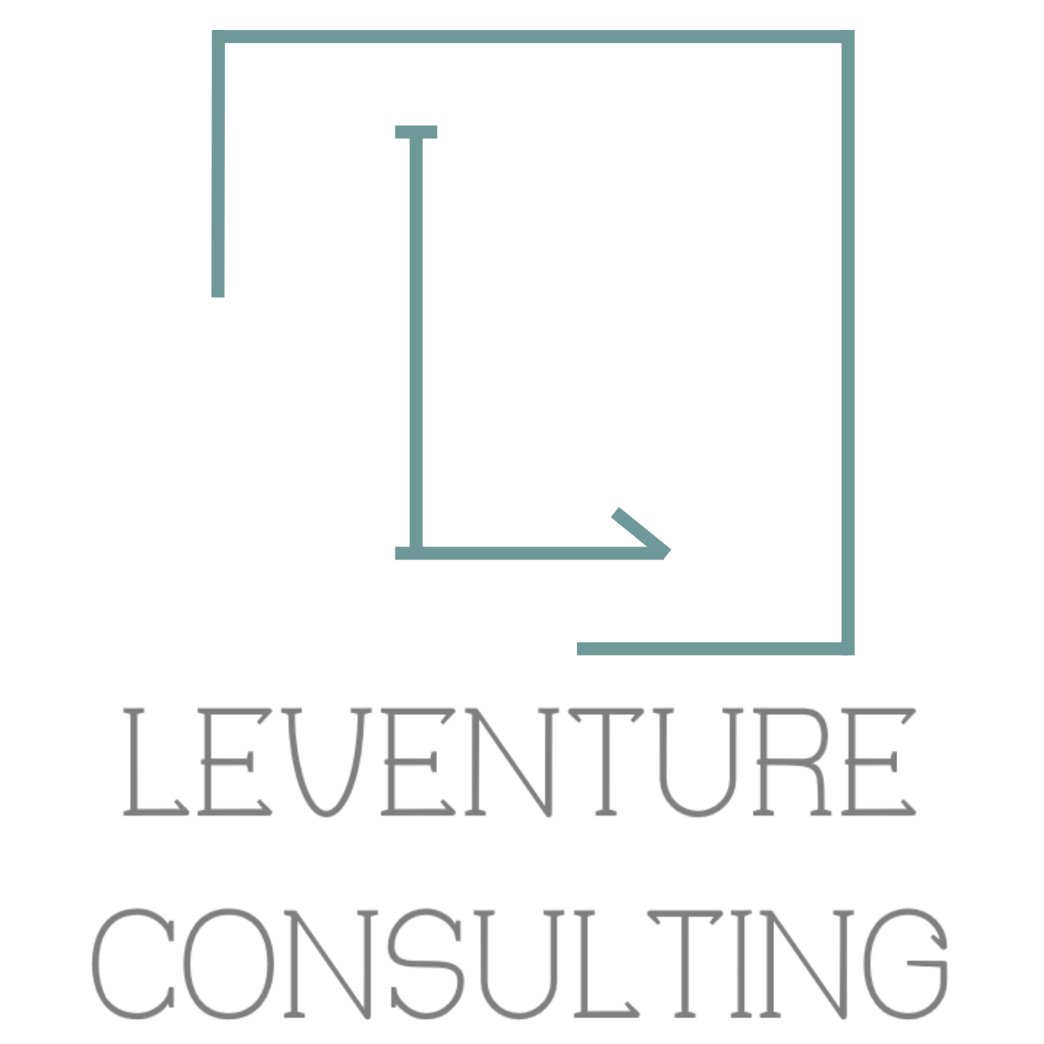 Leventure Consulting
