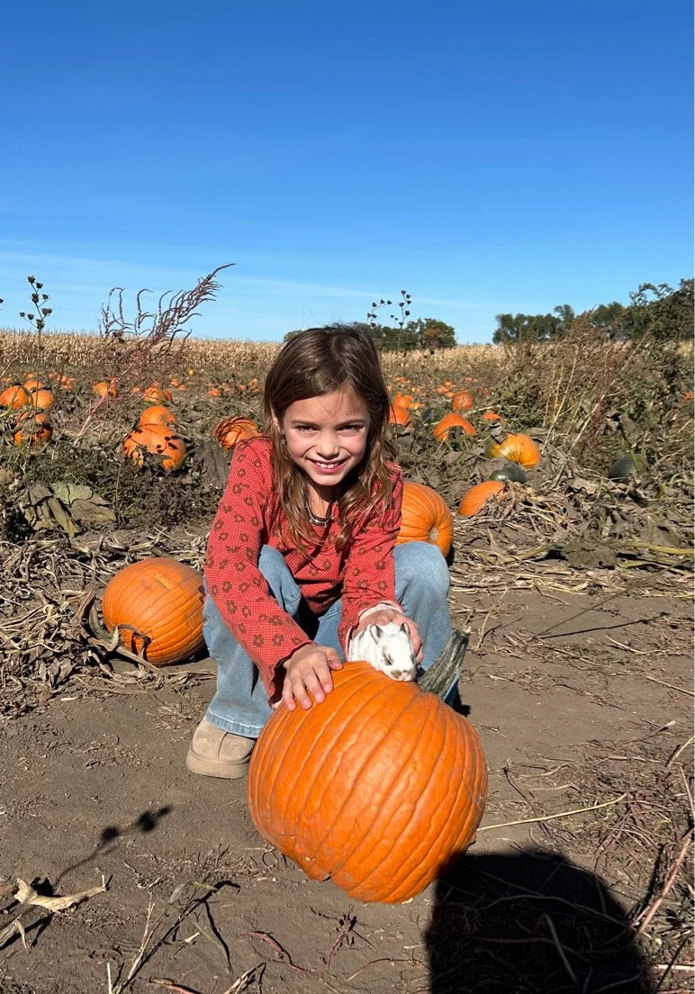 Goebbert's Farm Pingree Grove