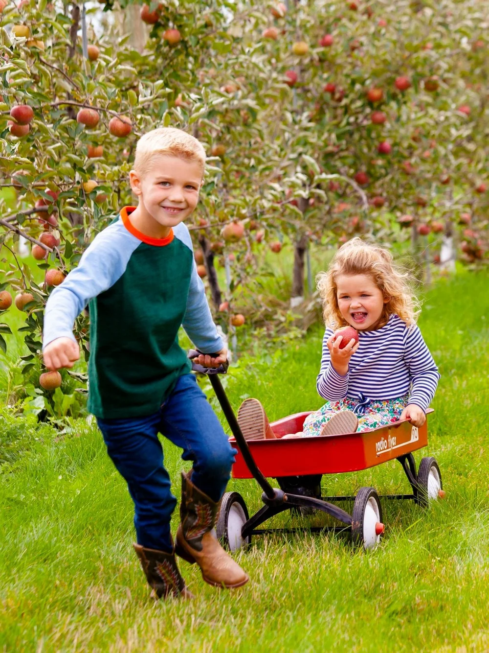 Goebbert's Farm Pingree Grove