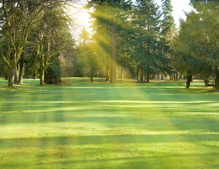 Hoosier Woods | Apartments for Rent in Anderson, IN